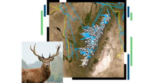 Precision Geomatics Engineering Consulting – Geospatial Services